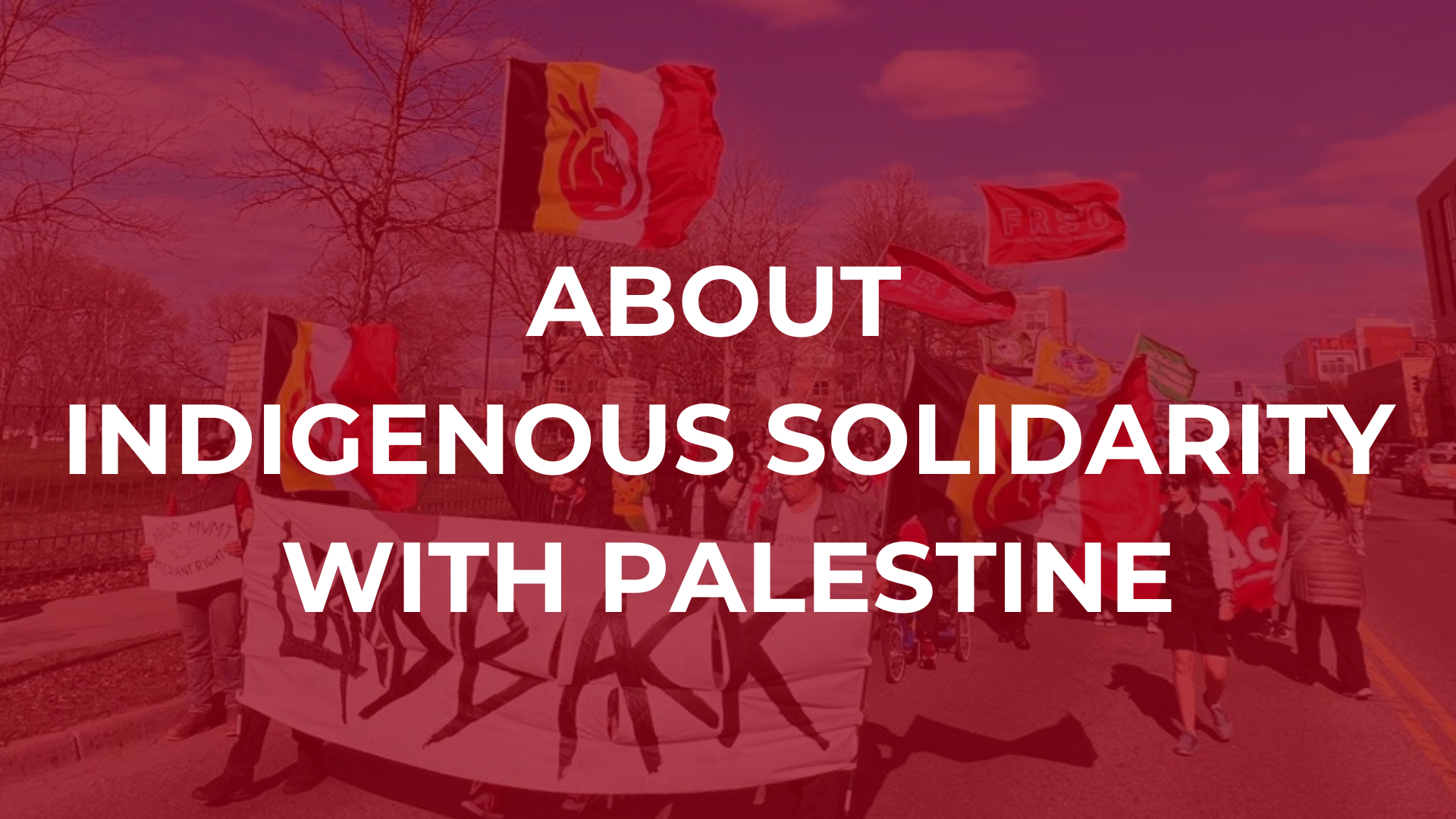 Indigenous Solidarity with Palestine