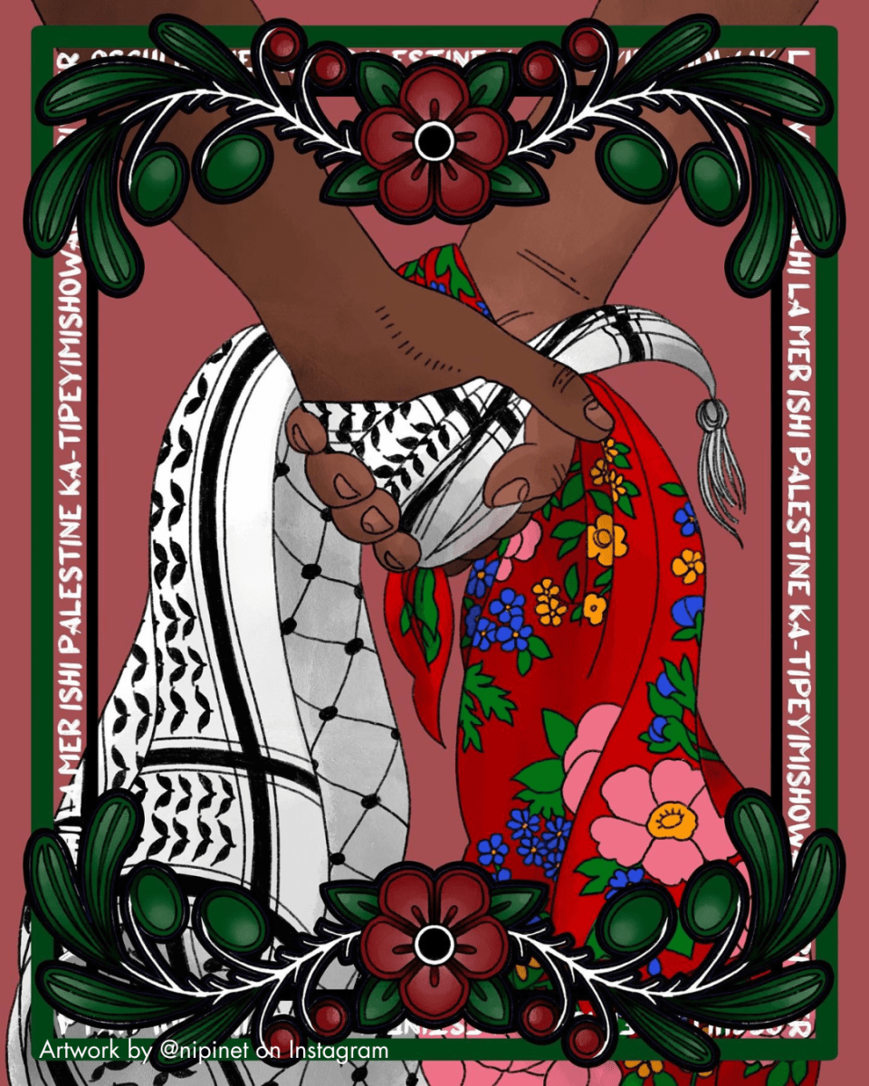 News – Indigenous Solidarity with Palestine