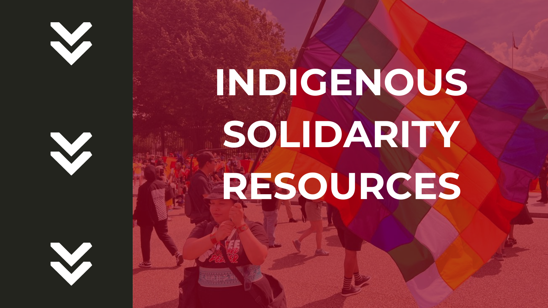 Indigenous Solidarity with Palestine