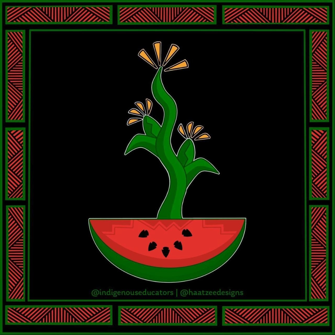 Indigenous Solidarity with Palestine